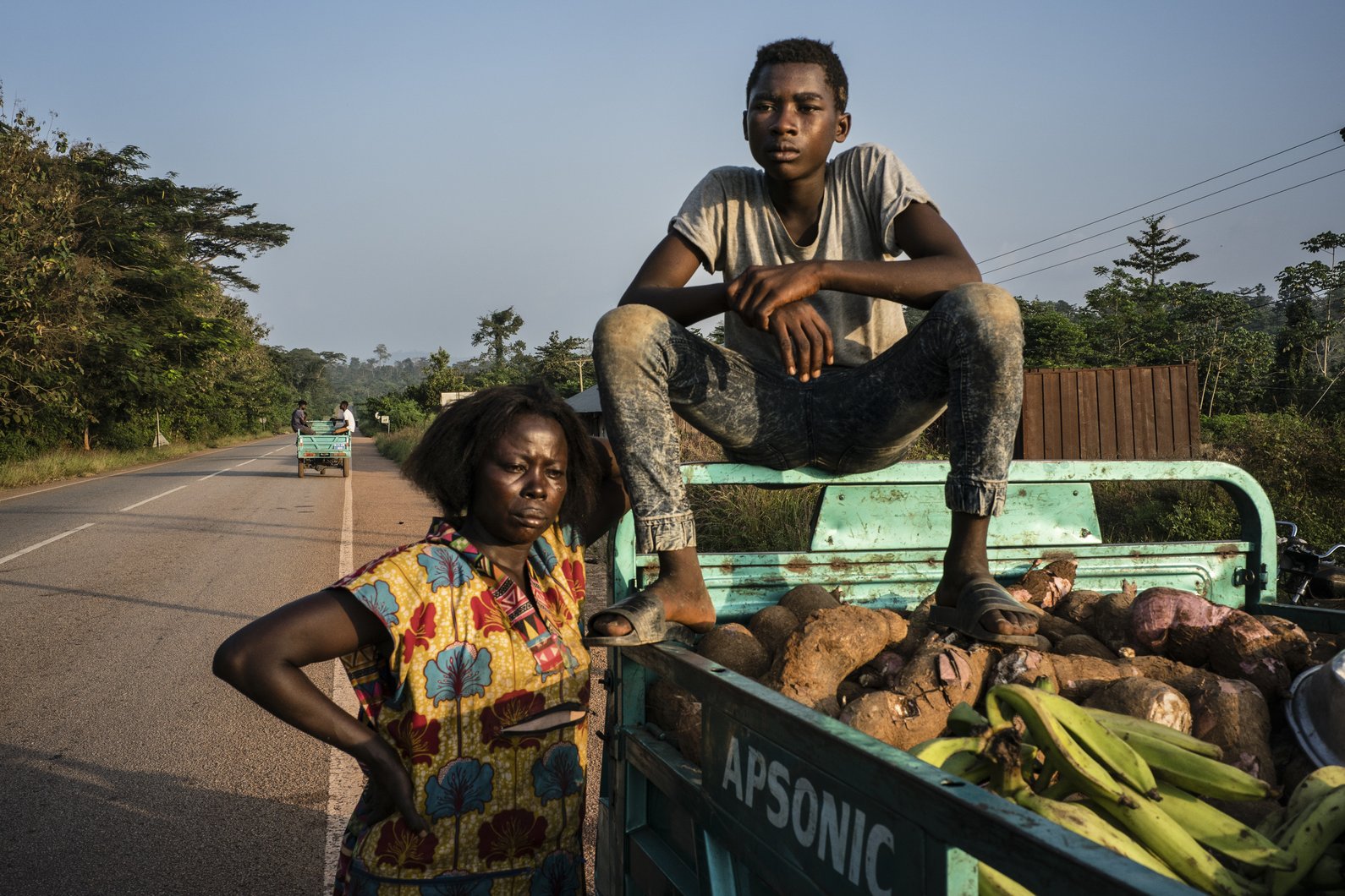 Le cacao, en dépit des forêts - Médor